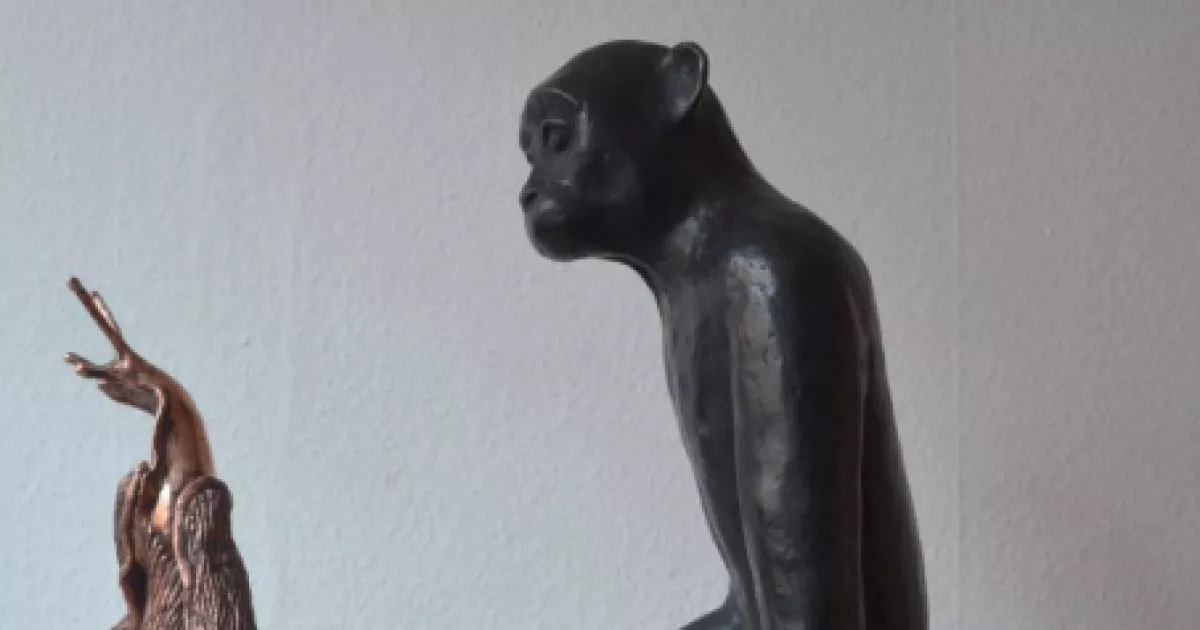 Scénes uit het Post-Antropoceen III › Stichting Kunst & Cultuur